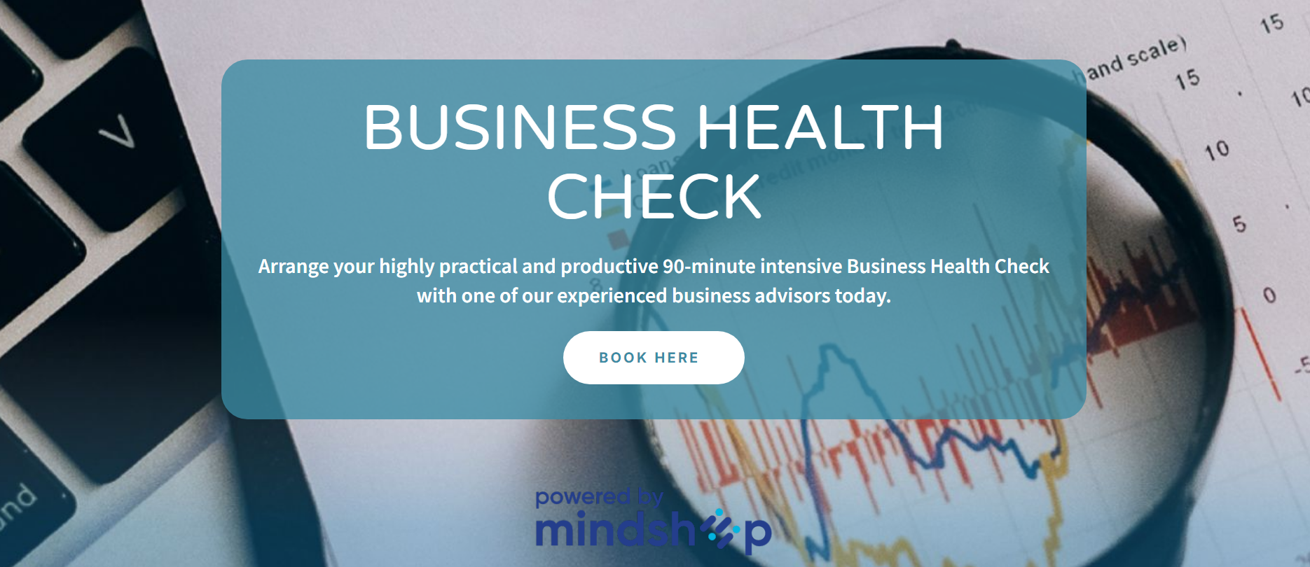 Business Health Check – Bob Evans at Insight-FD